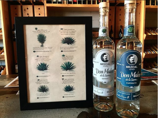 Mezcal: The Smoky Beverage Bound to Catch Your Tastebuds on Fire ...
